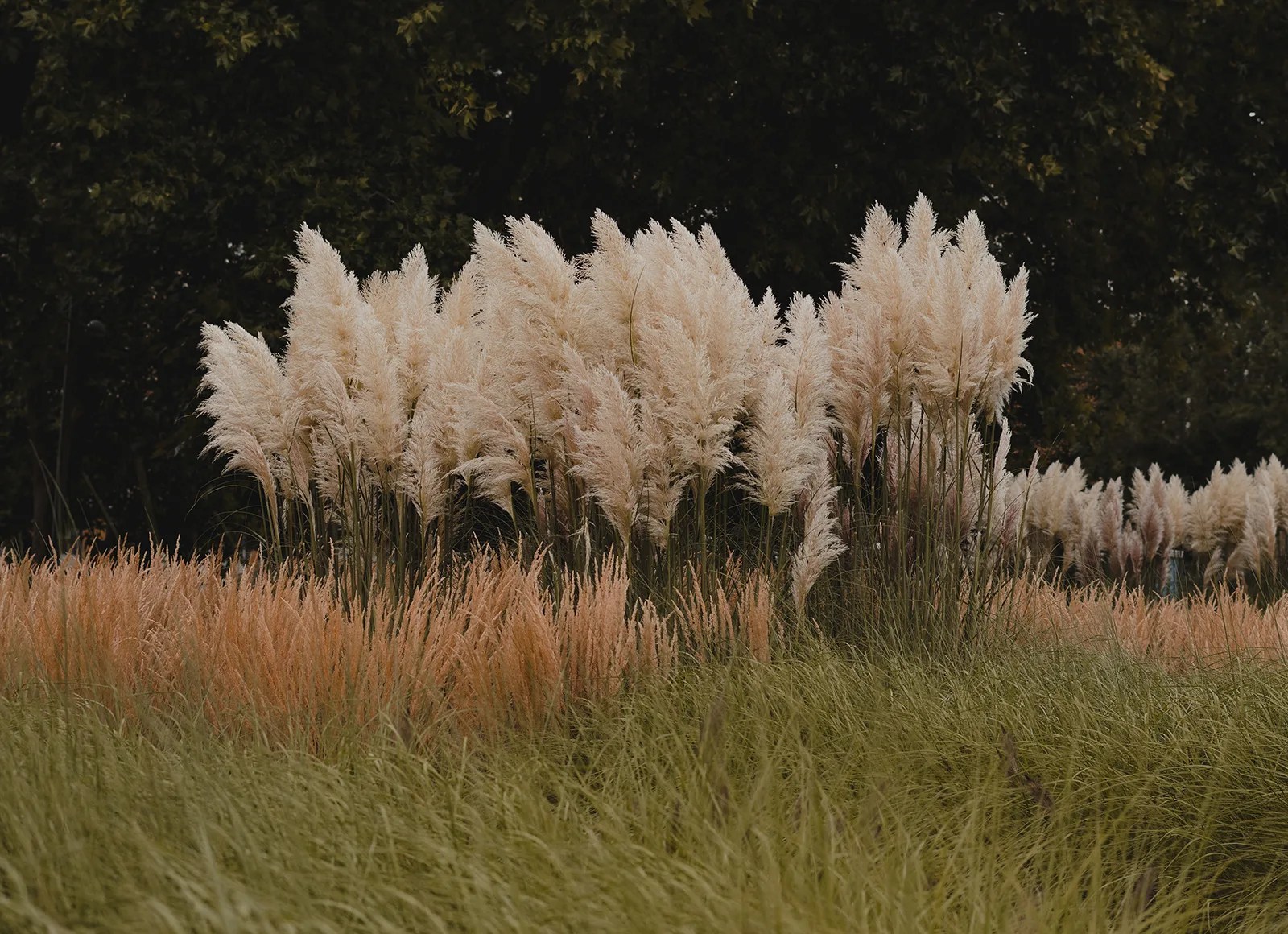 How To Trust The Universe | 6 Steps To Trusting The Universe